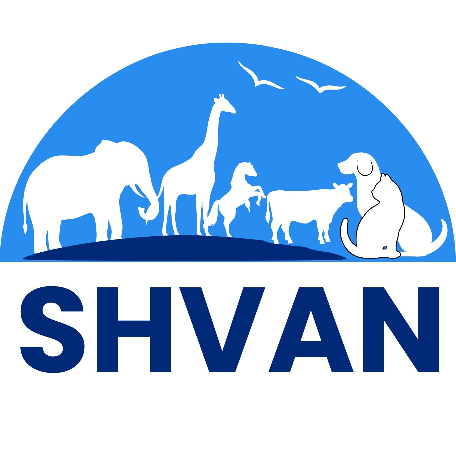 Contact Us: Get in Touch With Shvan.org Today